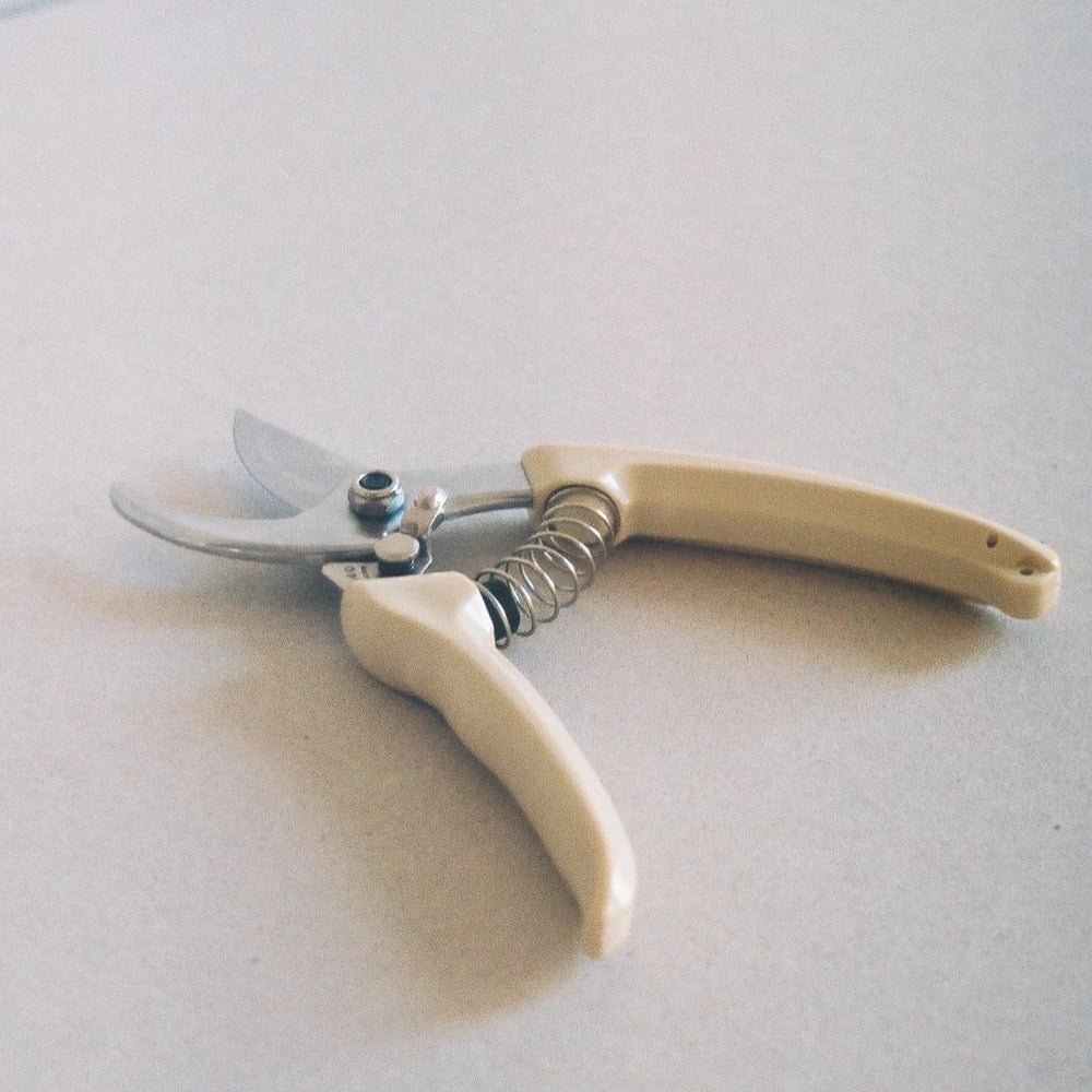 Rook & Rose Flower Shop + Lifestyle Store | Victoria, BC